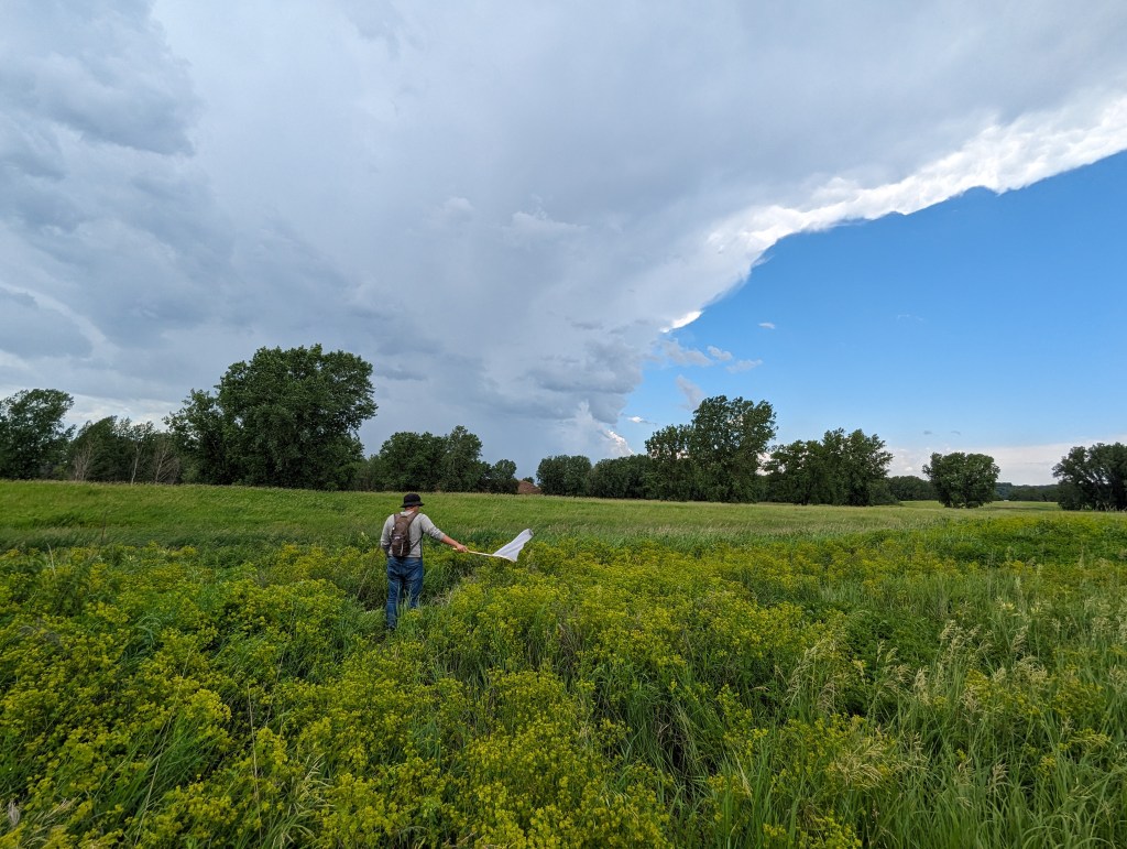 Metro Conservation Network