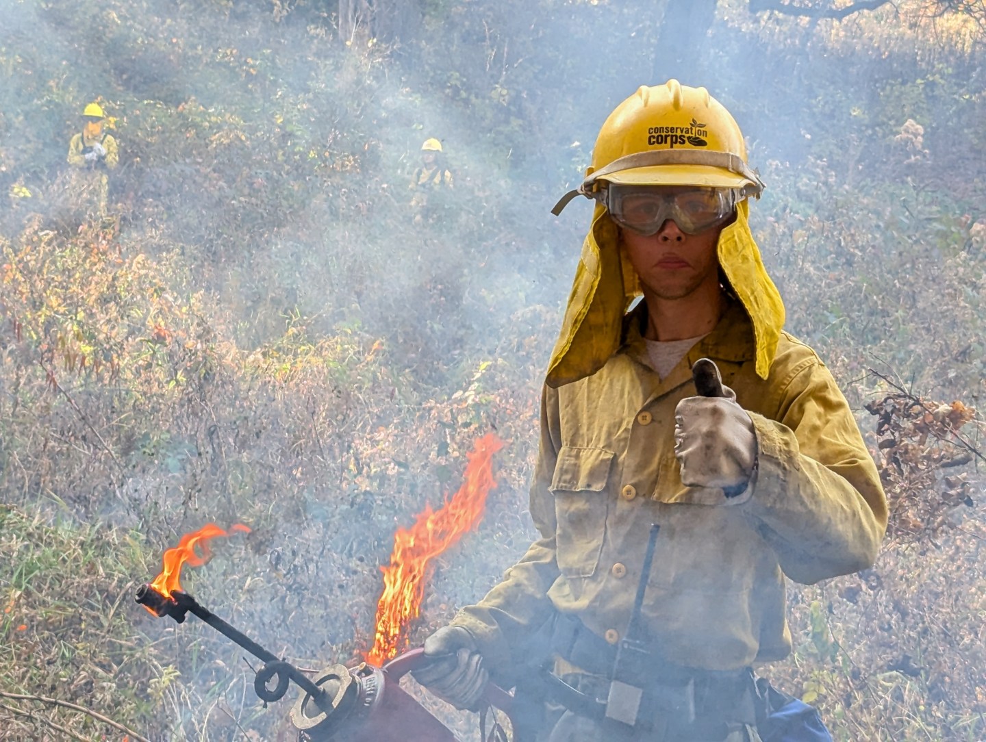 Affinity Groups – Metro Conservation Network